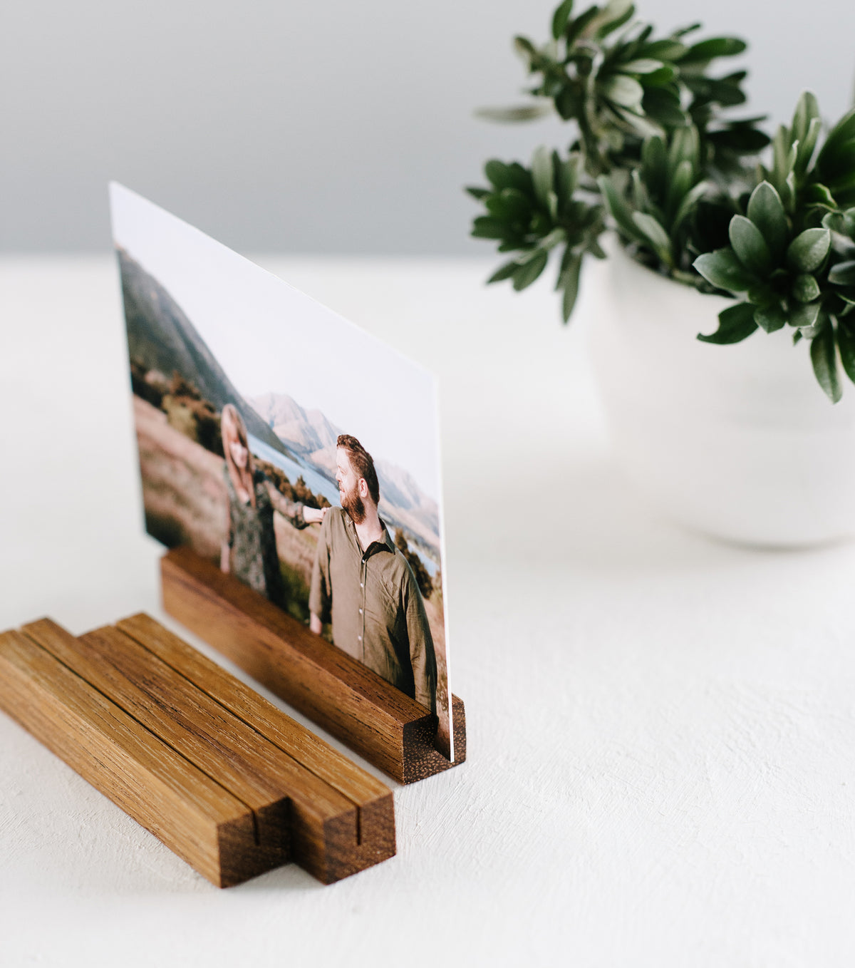 Timber Photo Stands – In The Daylight