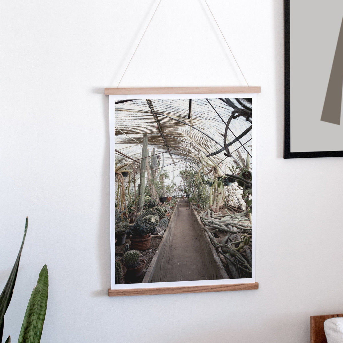 Wooden Print Hangers – In The Daylight
