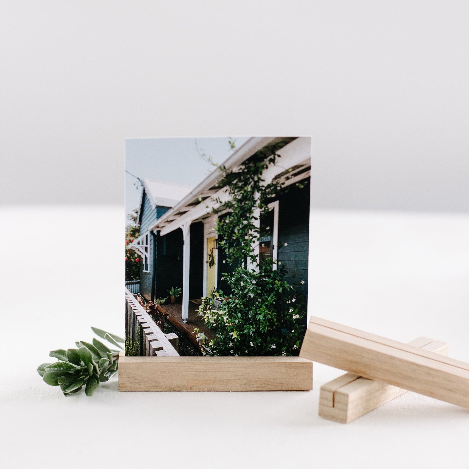 Timber Photo Stands – In The Daylight