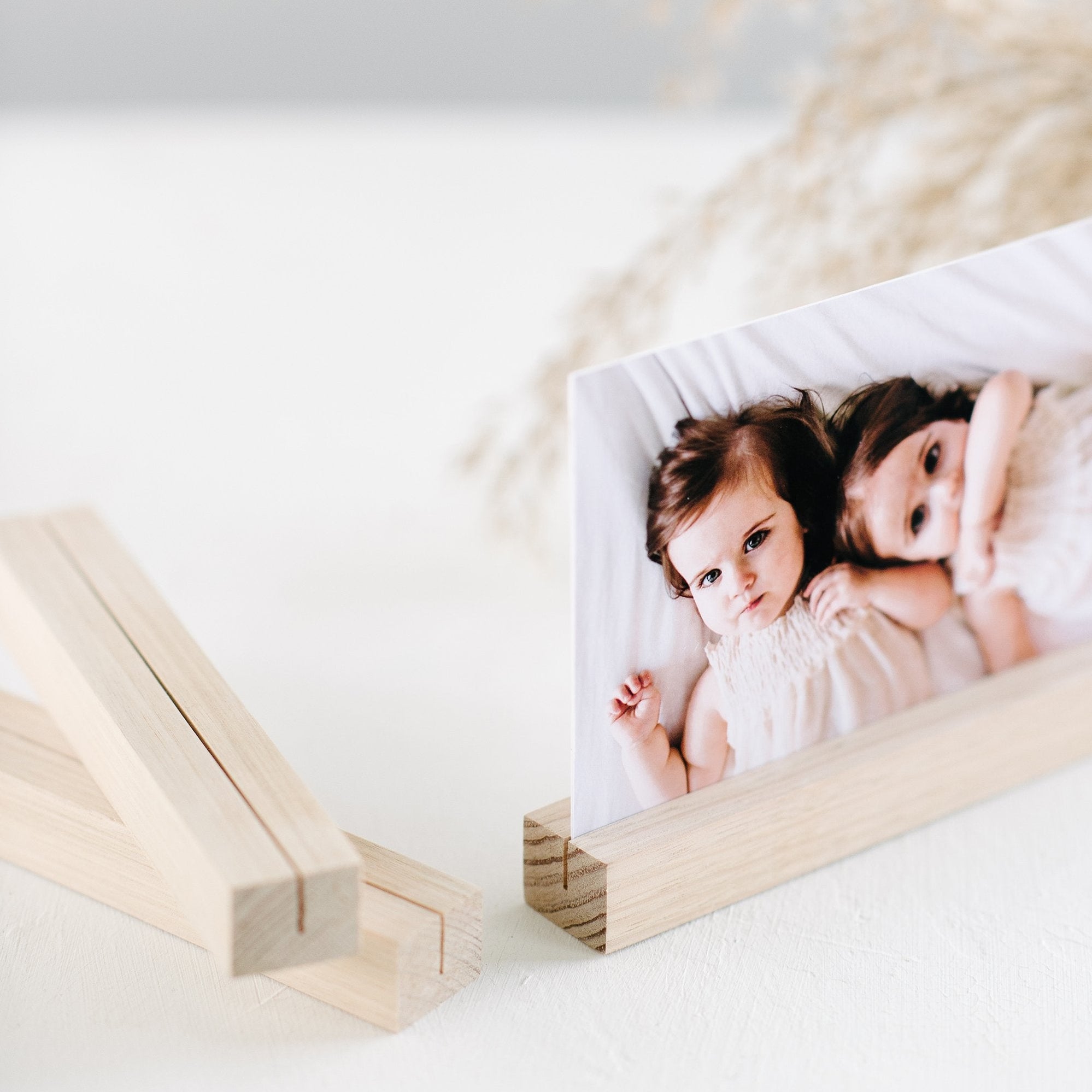 Timber Photo Stands – In The Daylight
