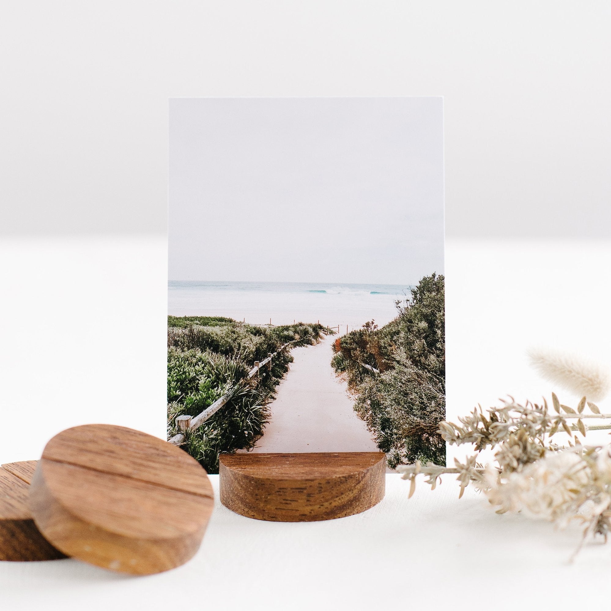 Timber Photo Stands – In The Daylight